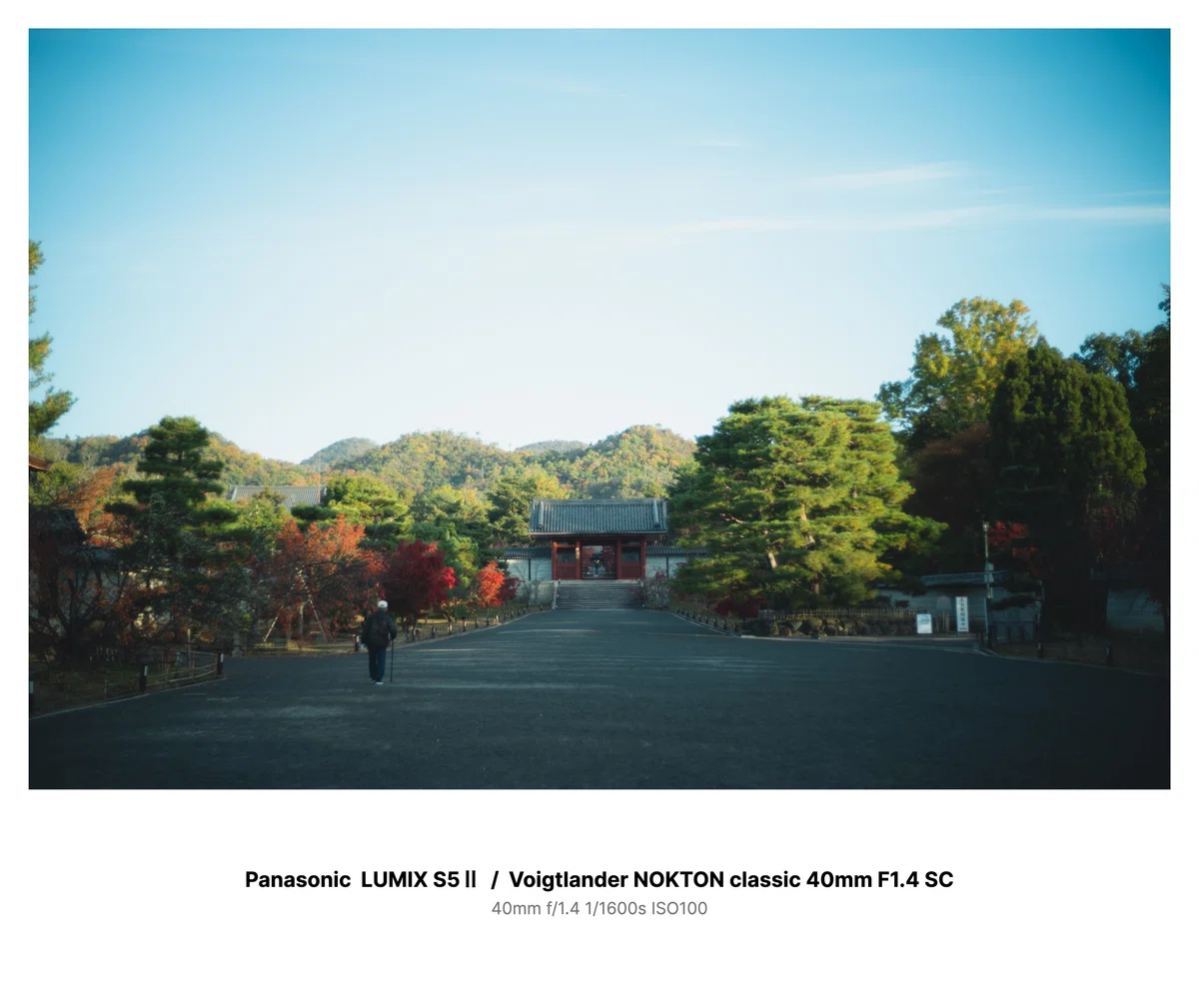 #33 practice with NOKTON Classic 40mm F1.4 SC | Nov. 2025｜fotokkur/フォトックル📷
