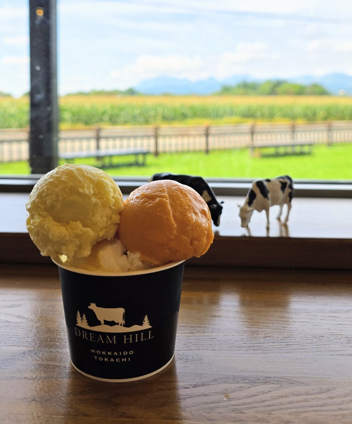 2025 秋の北海道温泉＆飲酒旅 速報レポートPart3｜achel_b8