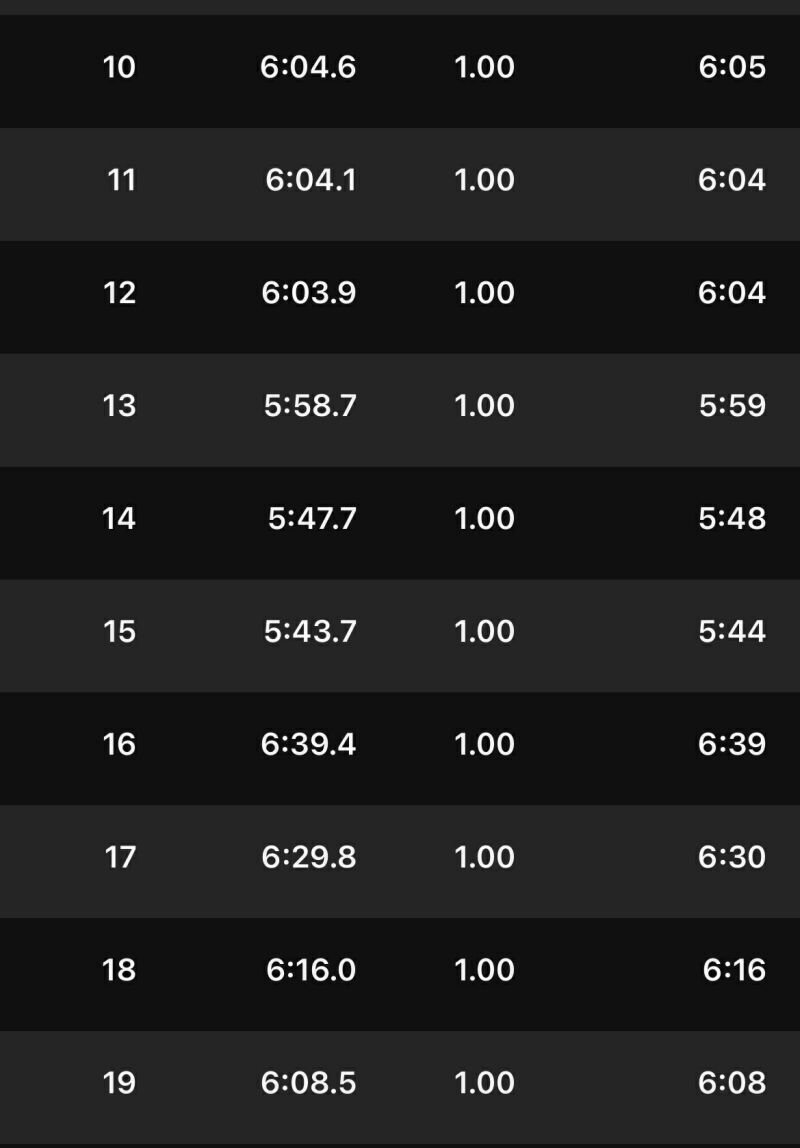 #51: 神戸マラソンを振り返ってみる vol.2｜sportsbrain_tets
