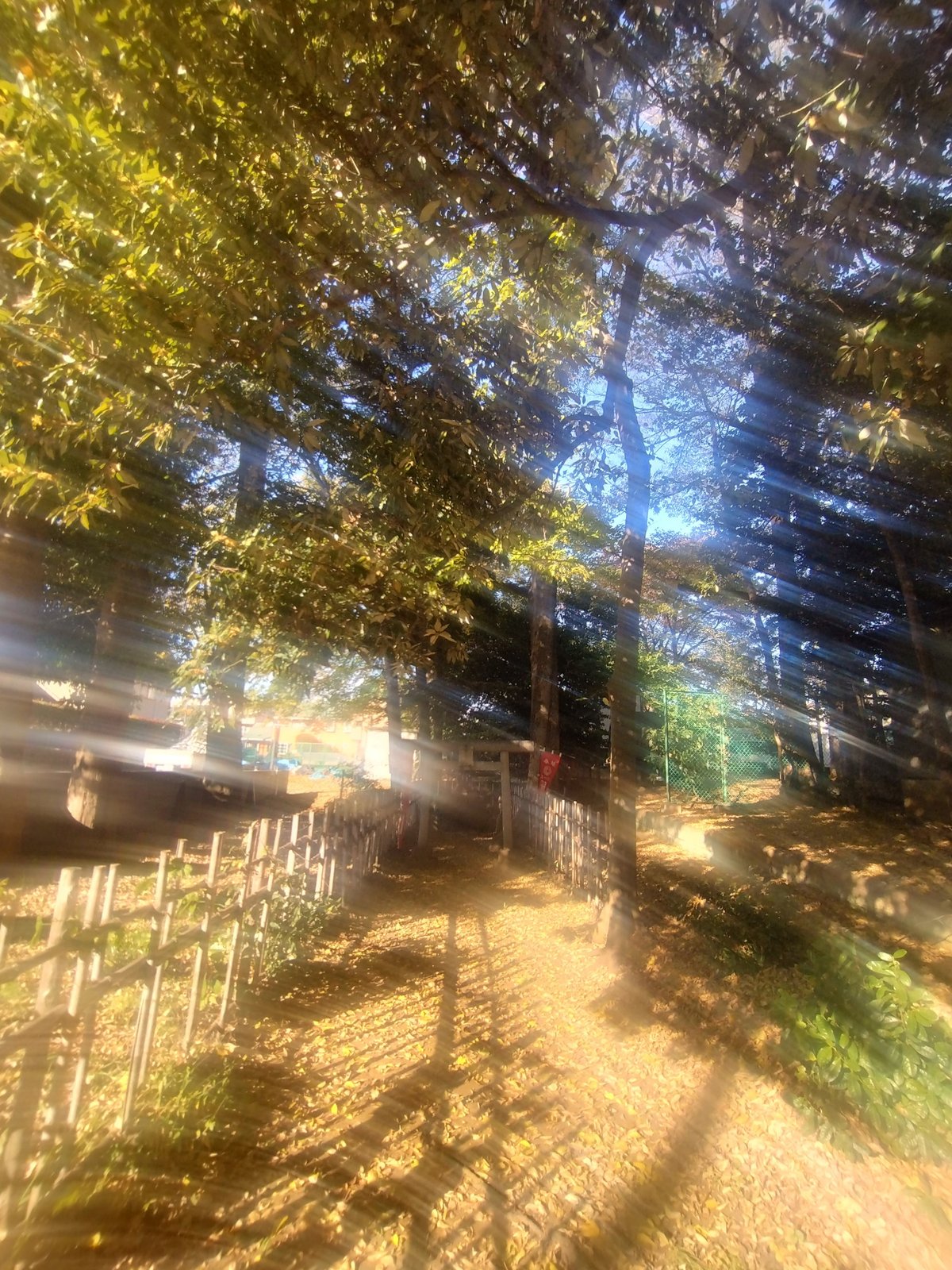 感性は大切なArtである。｜miho__369