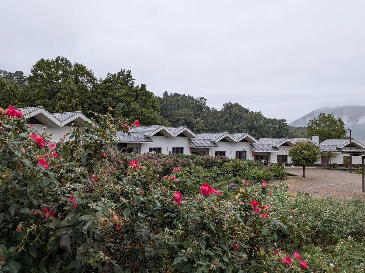 note旅行記は"誰"が書く？（後編）｜karine_tln