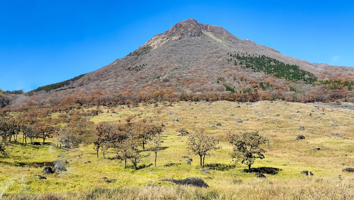 大分紅葉巡り｜Toru Shiratori