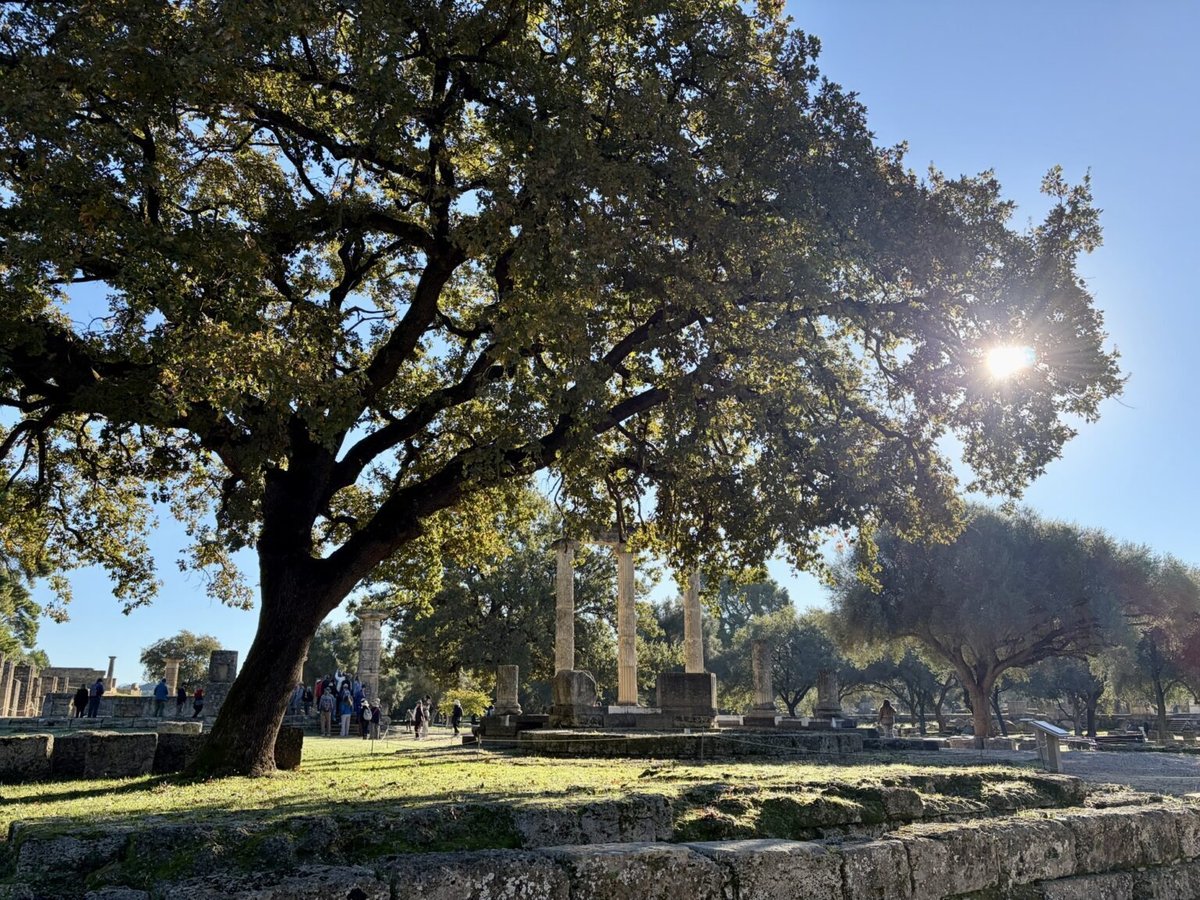 緑の息づかいとともに歩く、オリンピア遺跡｜Ryoko＠terra_note