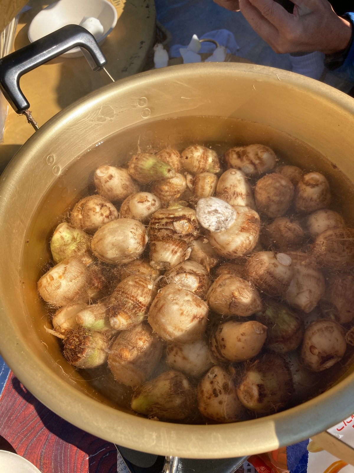 芋煮会｜nobby shimada