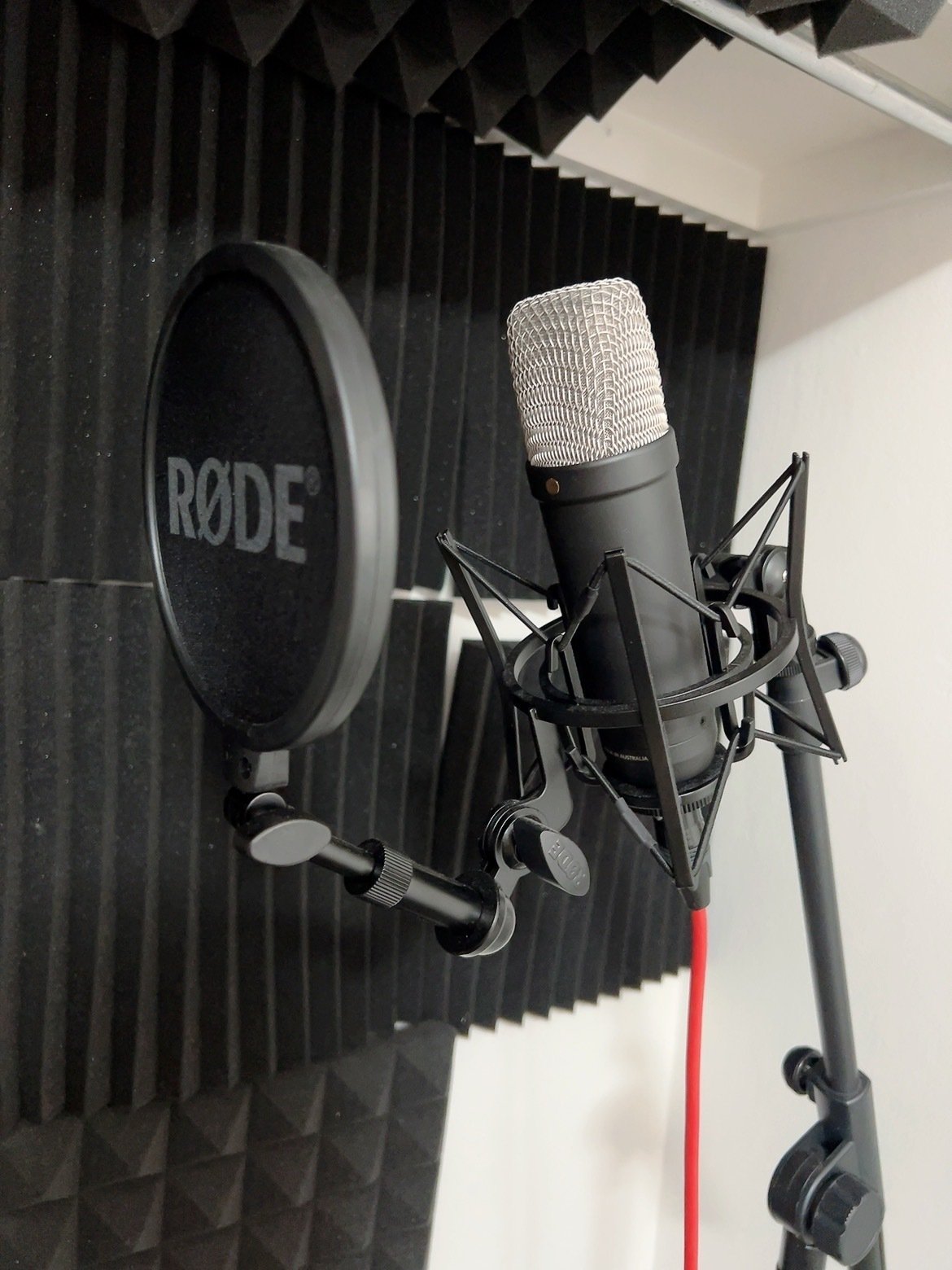 【オーストラリア在住の宅録声優】星間とおるの来年の目標 ⭐️｜星間 とおる｜Hoshima Toru