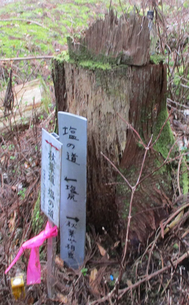 山の記憶note7塩の道（南塩ルート）5｜takobo
