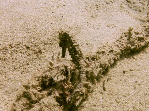 上級なら、なおさら楽しめる｜ippei shimamura