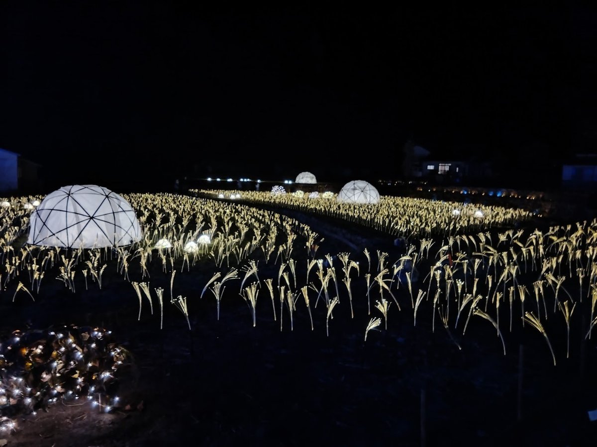 「INAKAイルミ」（幼子のような母）｜ryuko