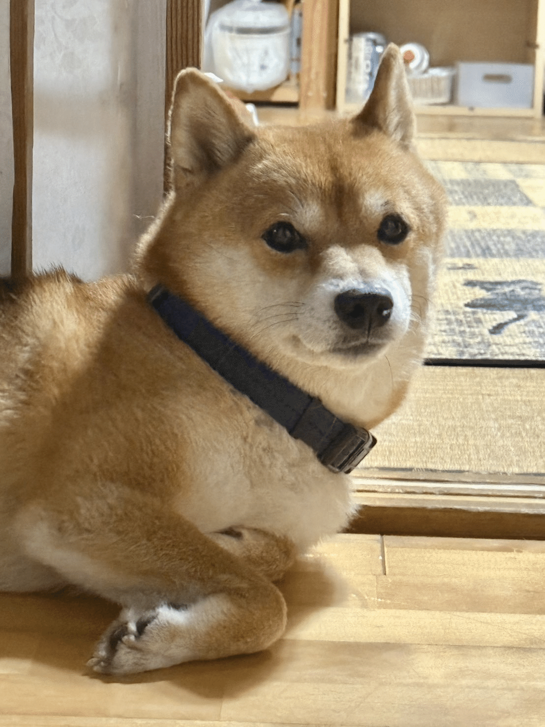 Discord ＆ Google Drive の便利機能｜いまむー