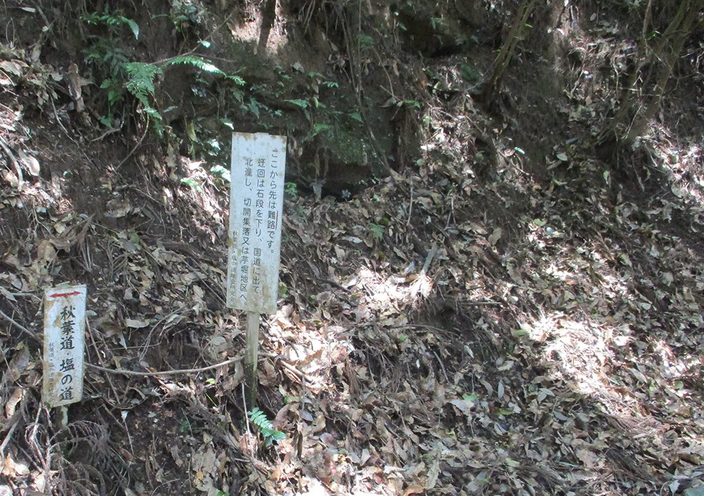 山の記憶note7塩の道（南塩ルート）7｜takobo