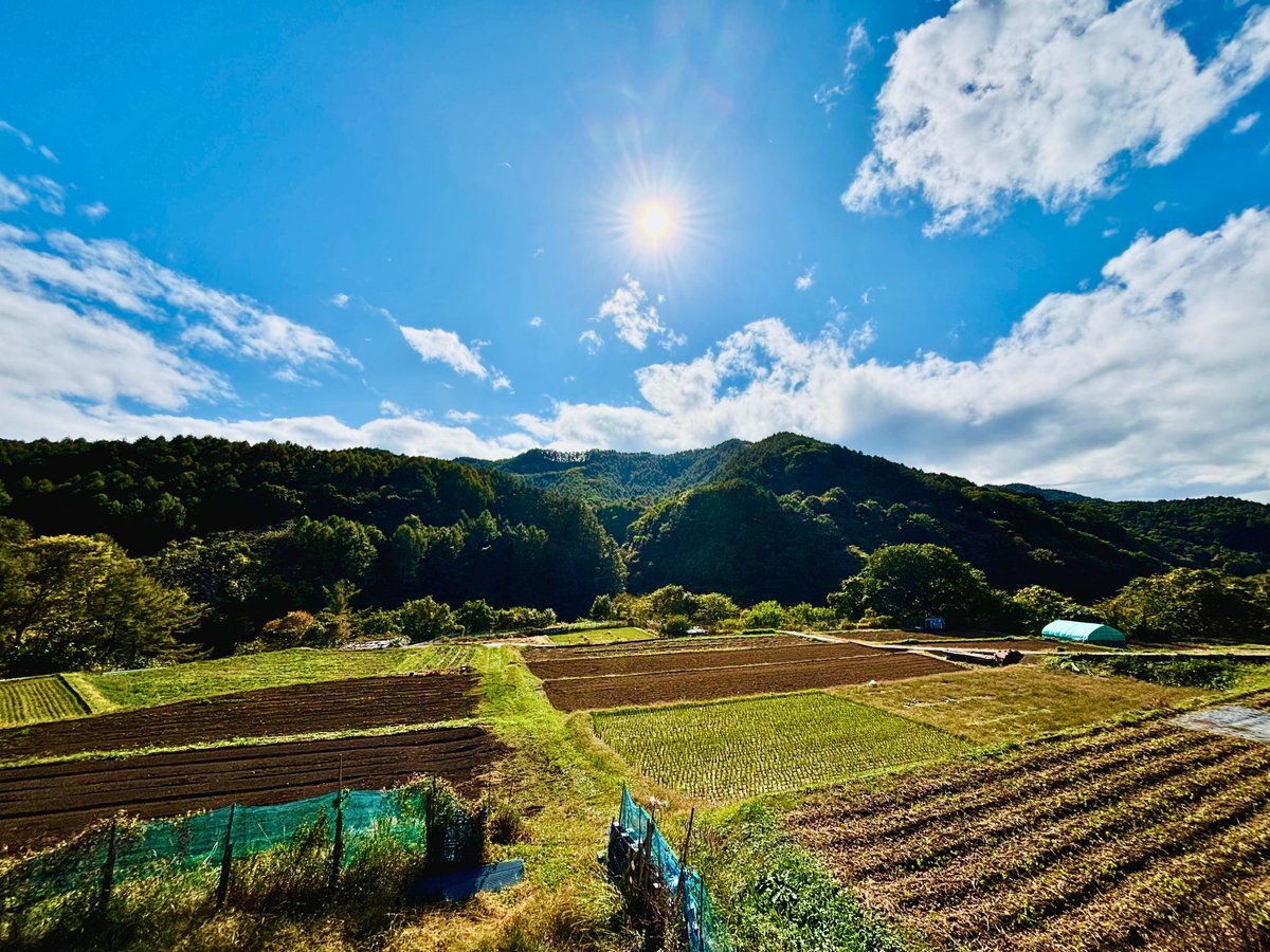 不思議な多様さに出会える！生き方の幅が広がる 長野県・北相木村｜すず