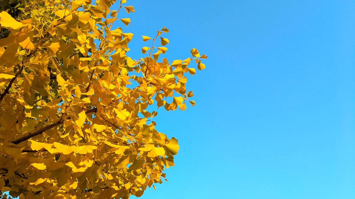 【詩】秘密の移動装置｜大塚裕人：ゆう