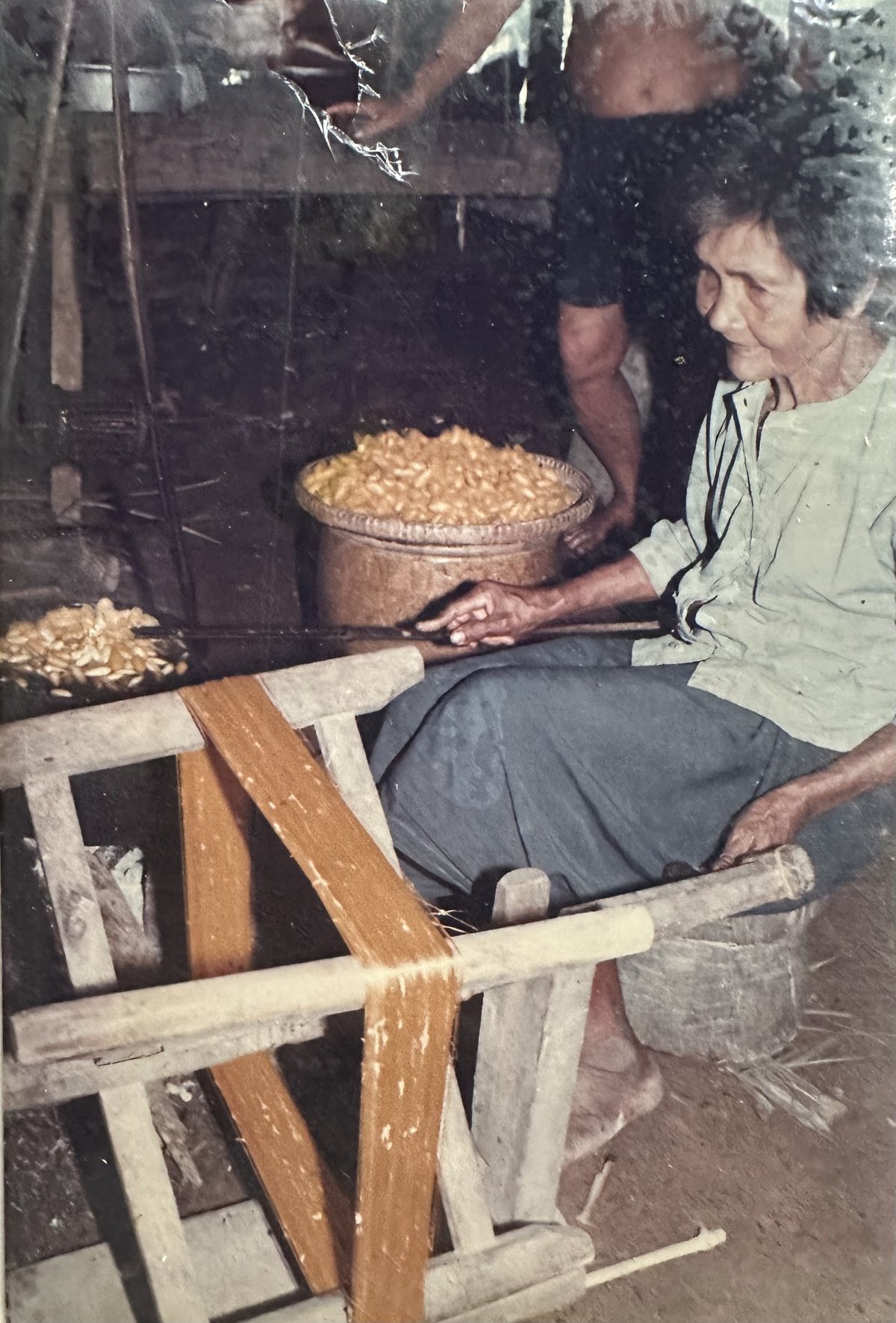 魔除けの下で育つ蚕たち─カンボット州タコー村の1995年｜IKTTクメール伝統織物