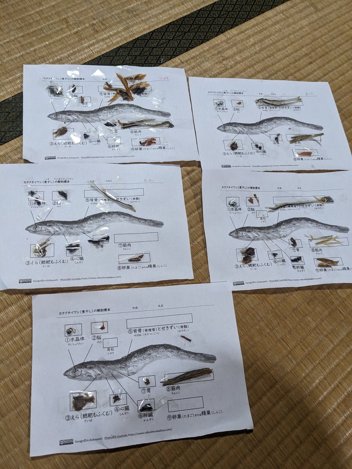 25/11/25～11/28 活動レポート｜Waku Waku Gakko