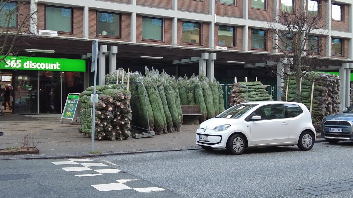 海沿いサウナ？デンマーク郊外を歩く｜杏