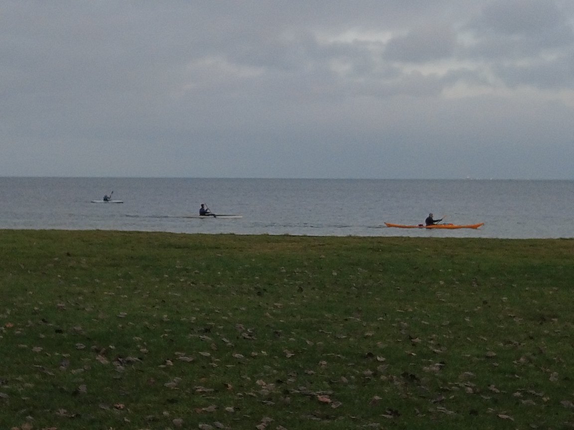 海沿いサウナ？デンマーク郊外を歩く｜杏