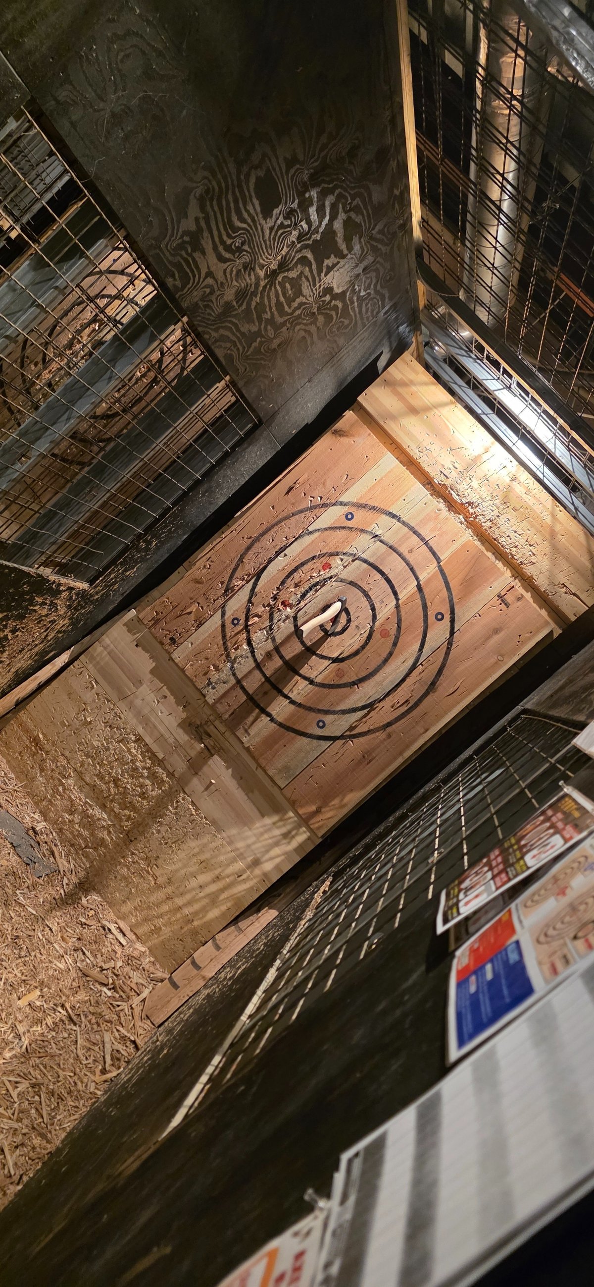 KAMITSUBAKI FES’25とSingularity Live Vol.4に行ってきたという話。｜まと