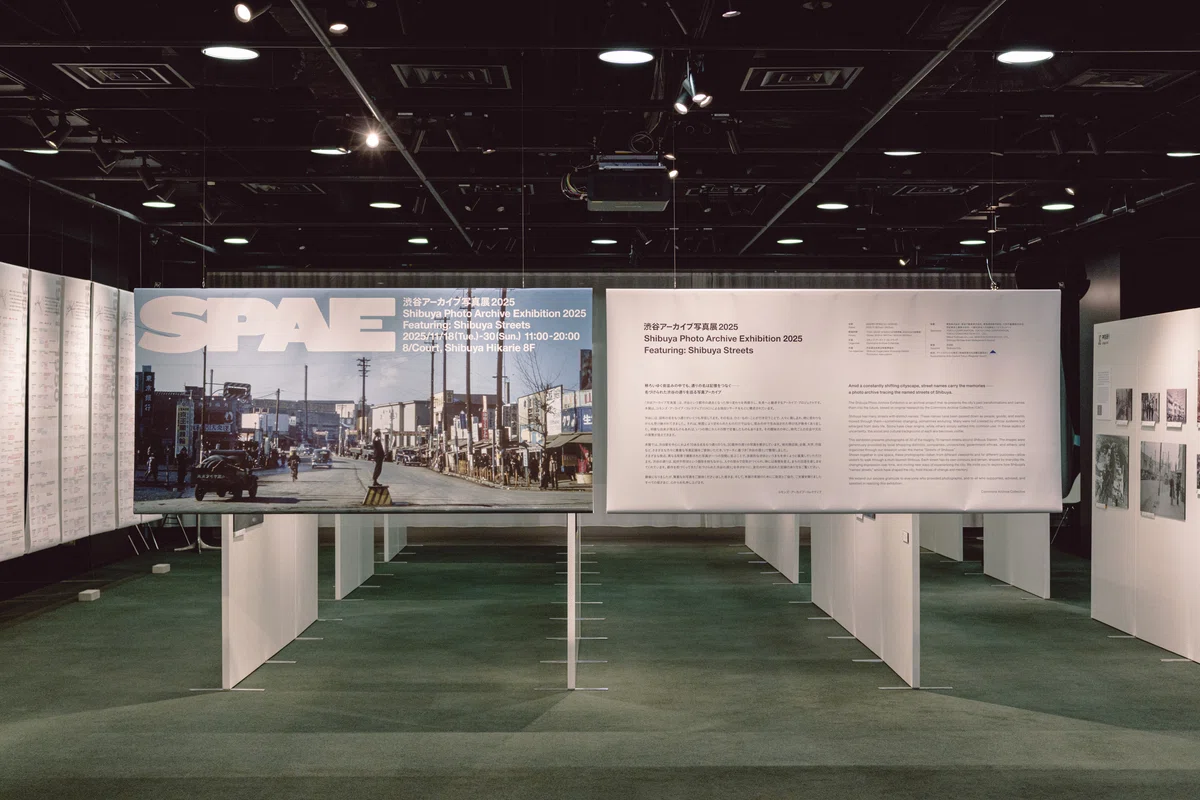 SIGMA fpで写す日々の記録。2025年11月 今月の103枚｜トム・イシカワ（石川 智規）｜WEBSTAFF, Inc.