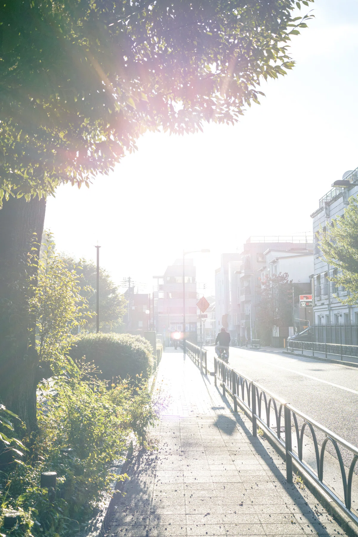 SIGMA fpで写す日々の記録。2025年11月 今月の103枚｜トム・イシカワ（石川 智規）｜WEBSTAFF, Inc.
