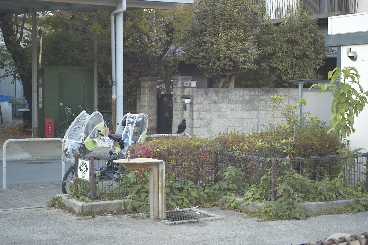 2025年11月 そとの景色｜Takumi Ikeda