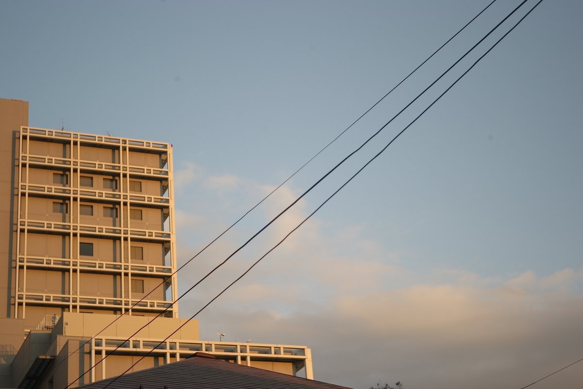 2025年11月 そとの景色｜Takumi Ikeda