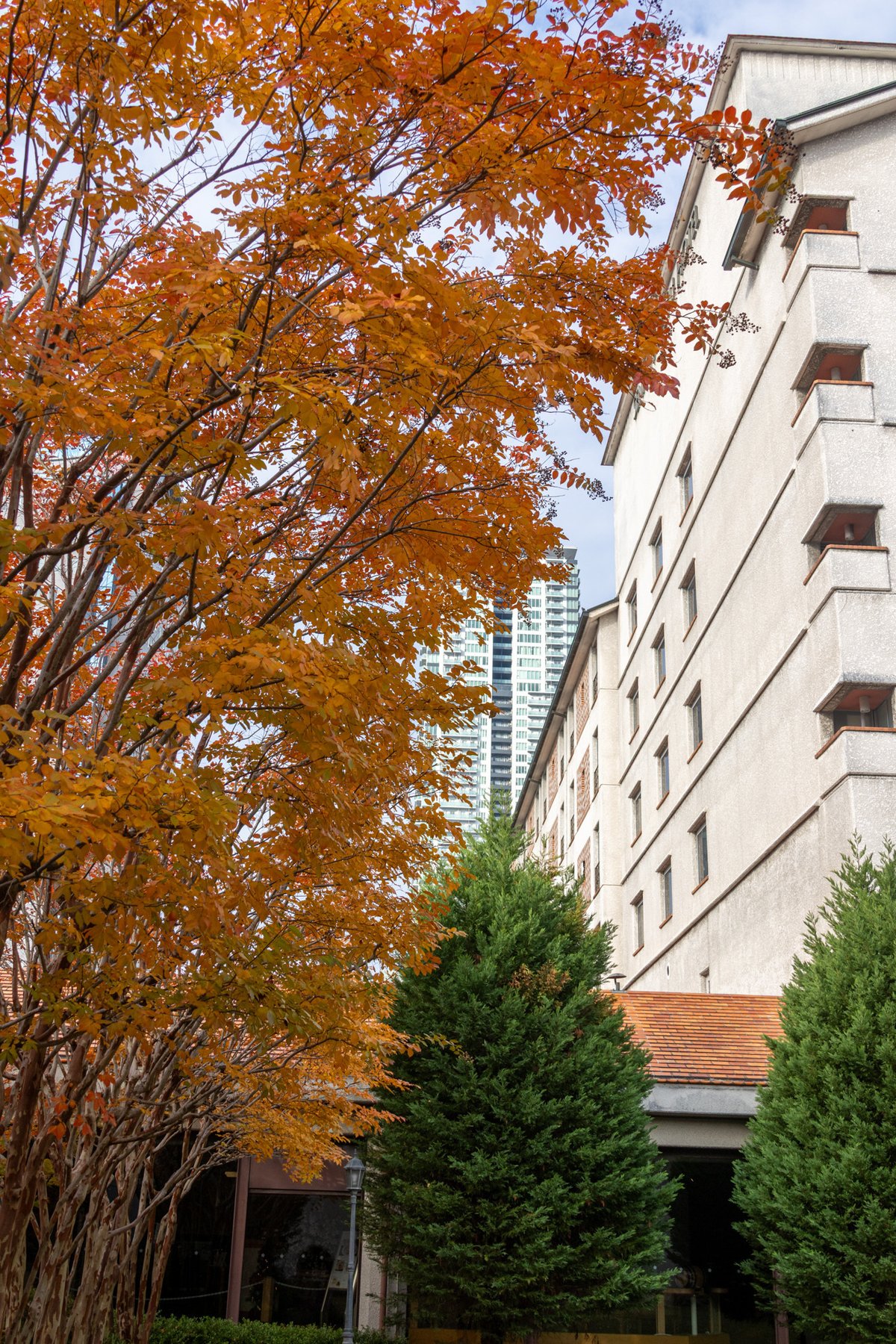 千里阪急ホテル 〜 浦辺鎮太郎の名建築を訪ねて｜787B(toru.)
