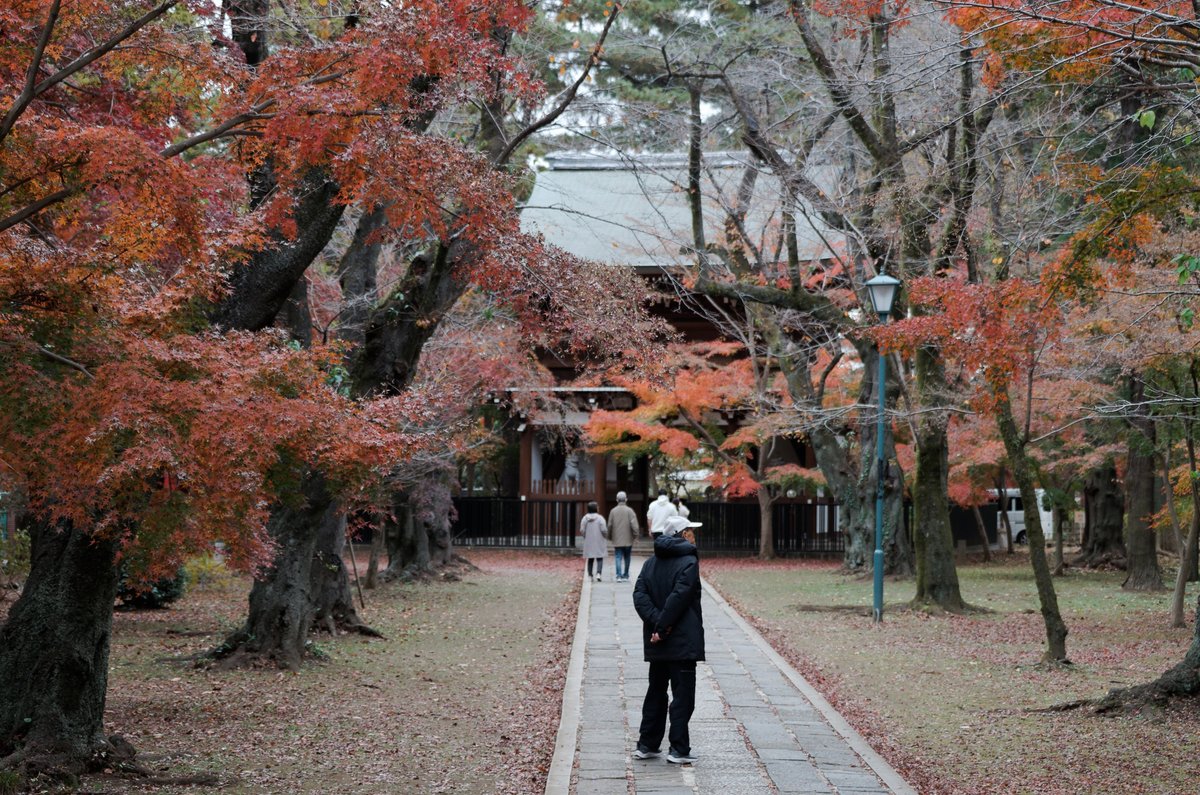 第37話 松戸市「東漸寺」と「本土寺」の紅葉｜Yasuhiro Ts