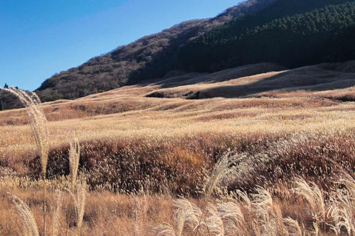紅葉狩り 前編|箱根｜アル