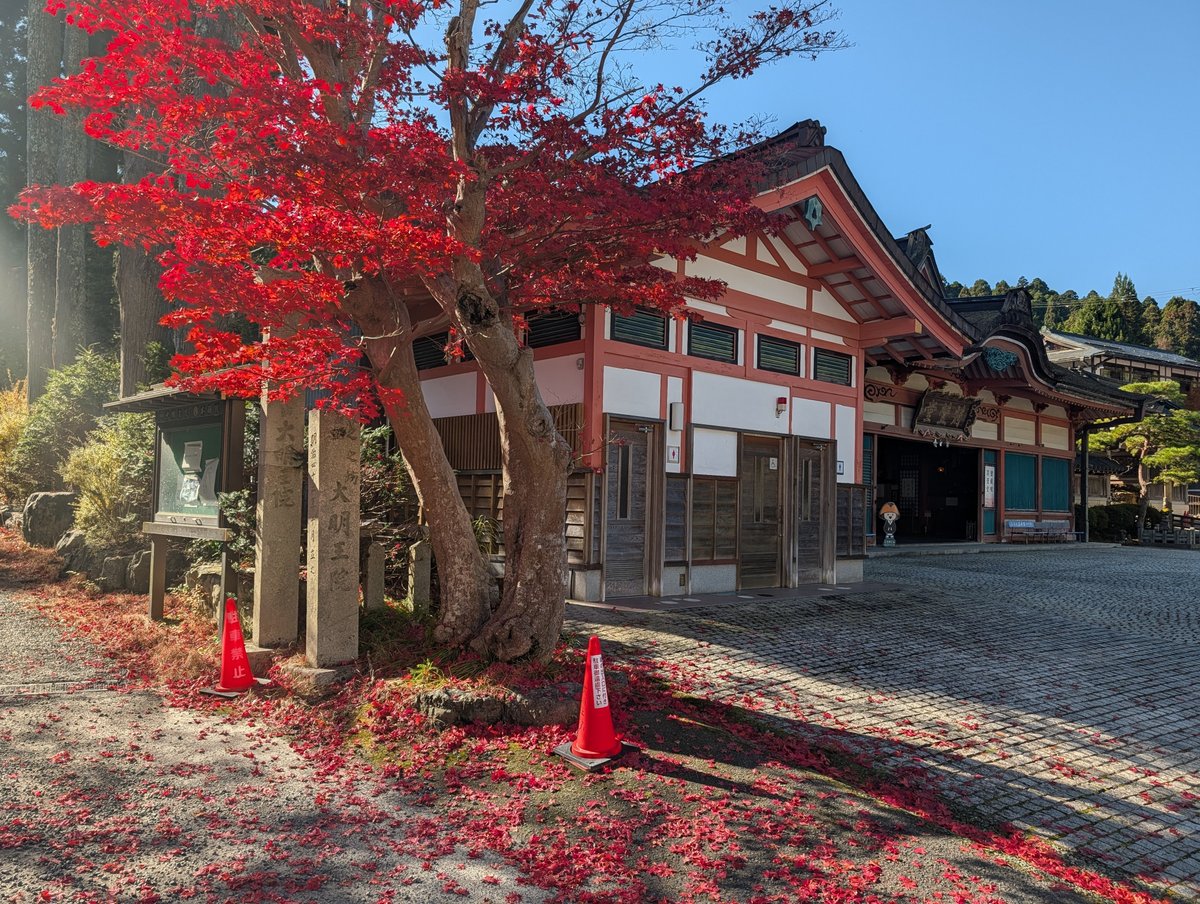 たくさん歩く(ありがとう天空)#650｜やん（矢野達也）