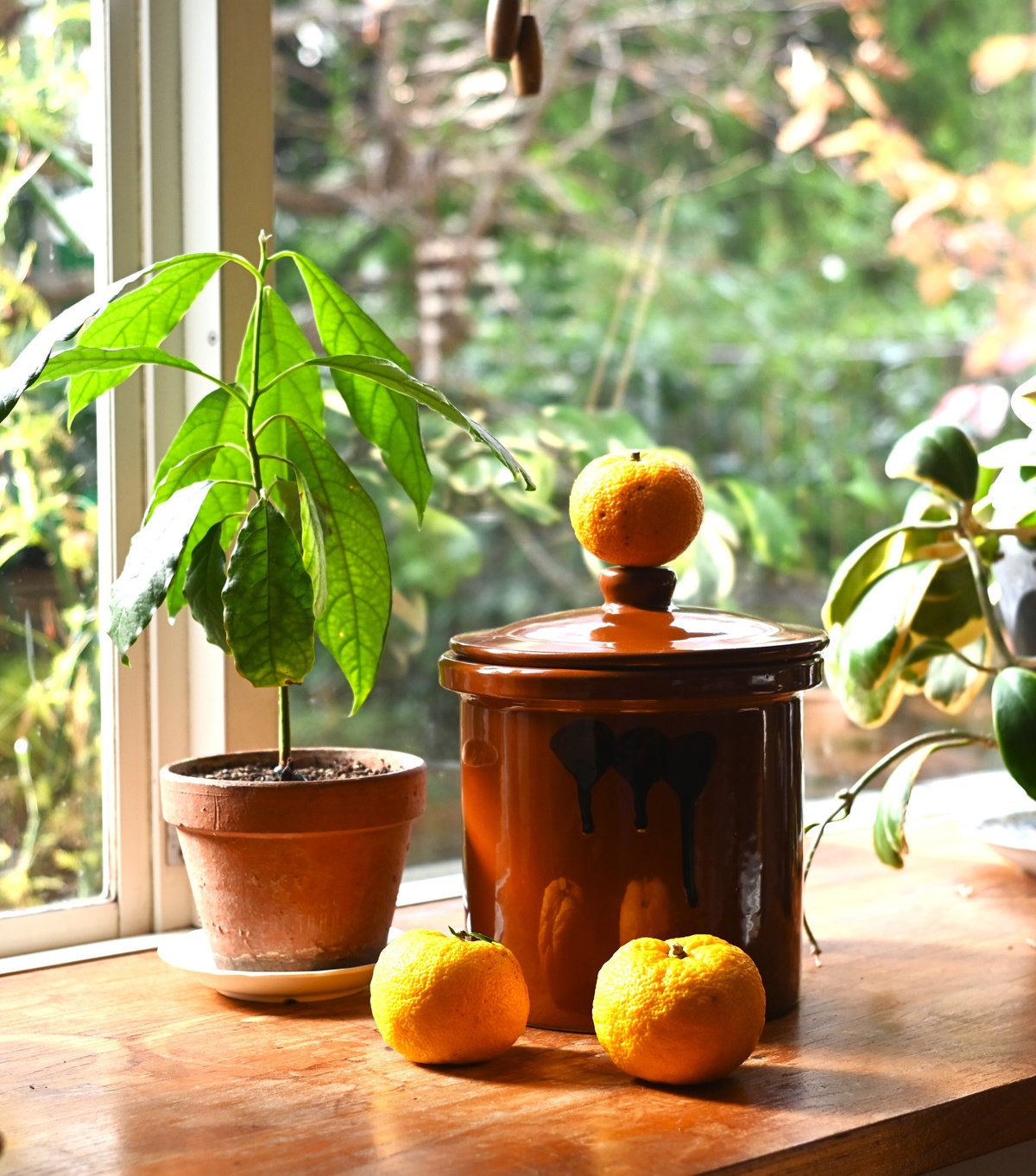 「光でスケッチ」 お裾分け・？｜Rabi Sato