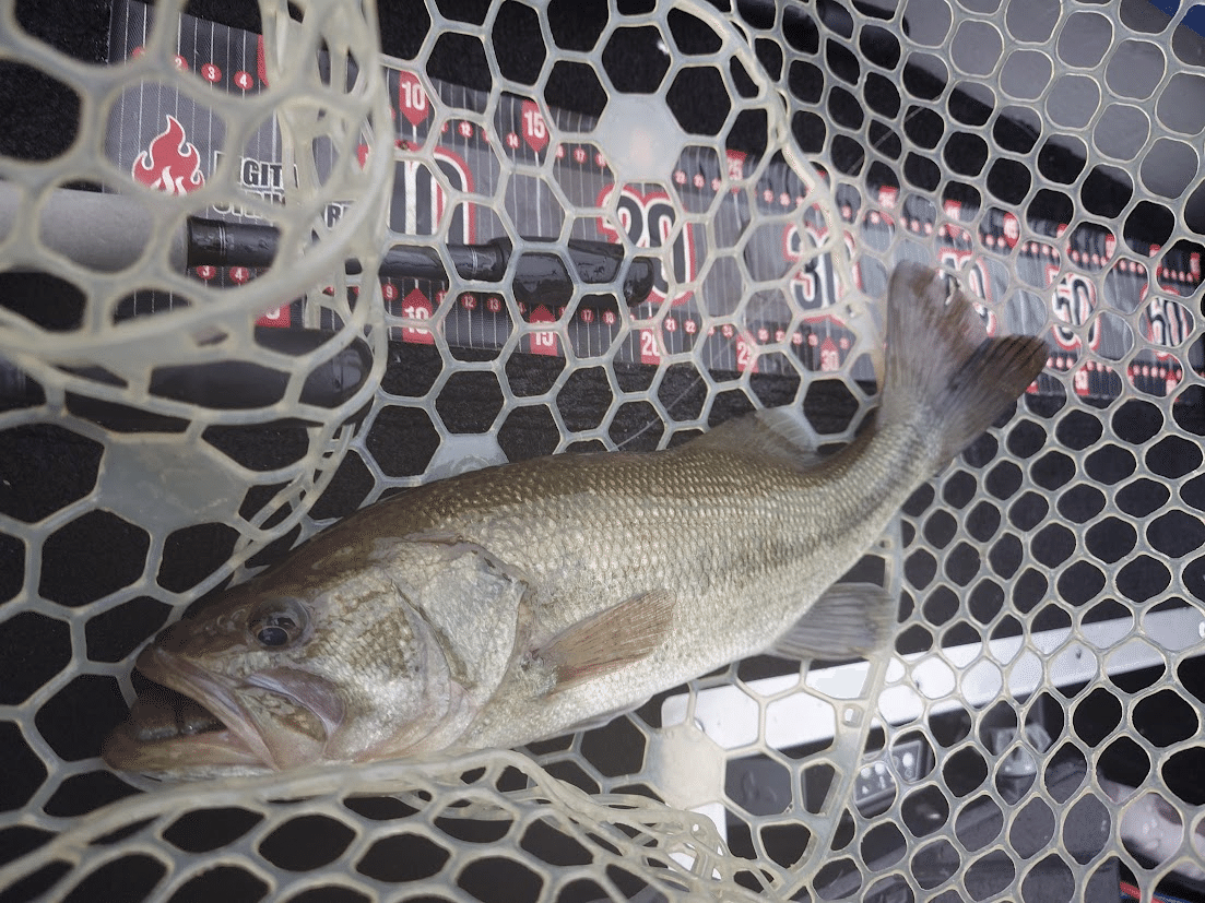 戸面原釣行_10月上旬_その3-4｜OSK