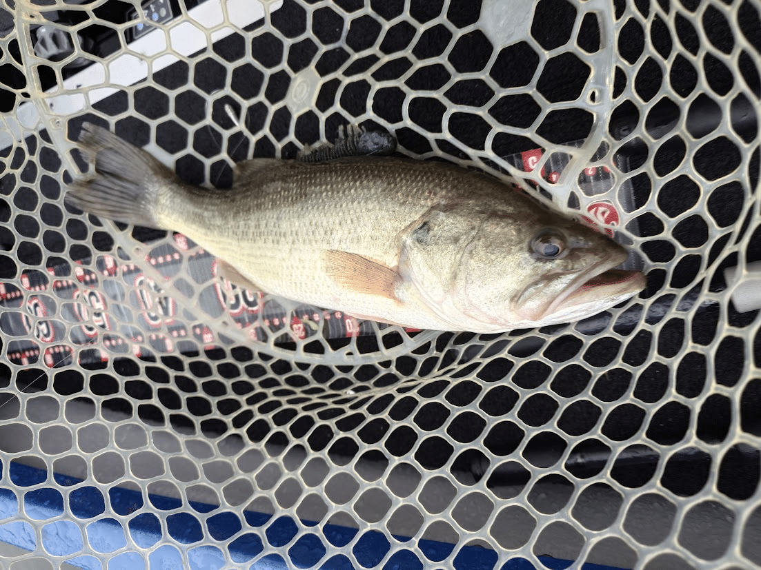 戸面原釣行_10月上旬_その3-4｜OSK