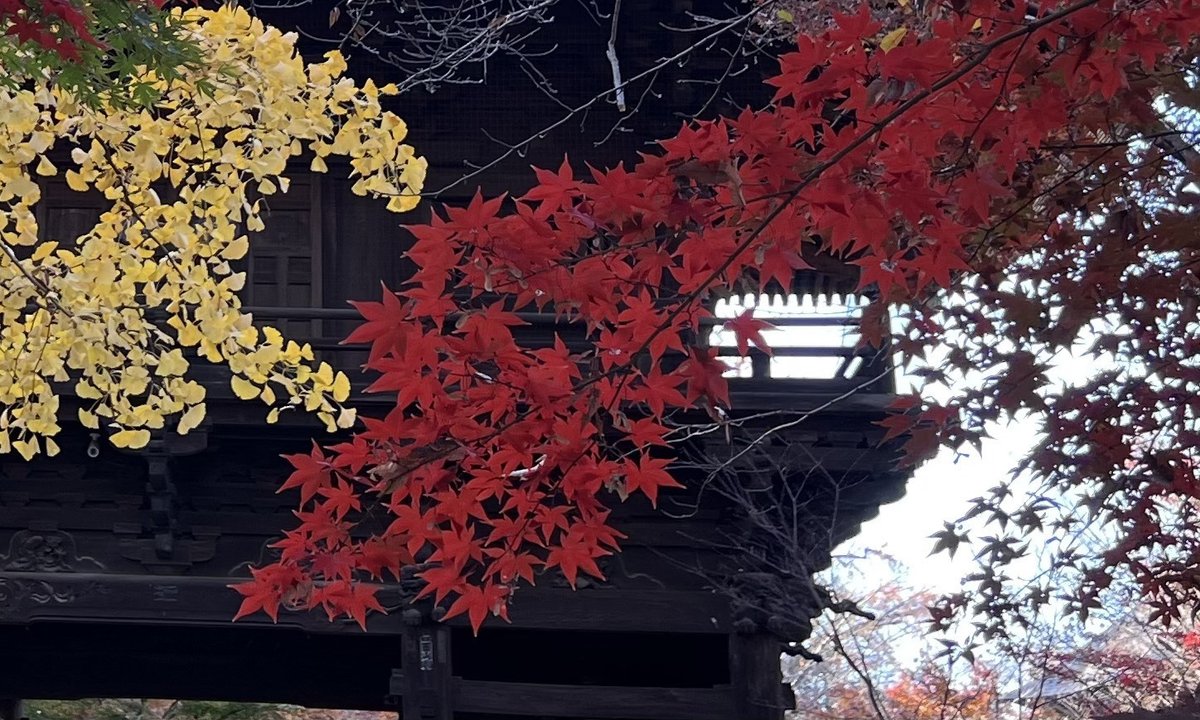 もみじ色の空に綴る──深まる秋に積もる想い🍁｜月星真夜（つきぼしまよ）