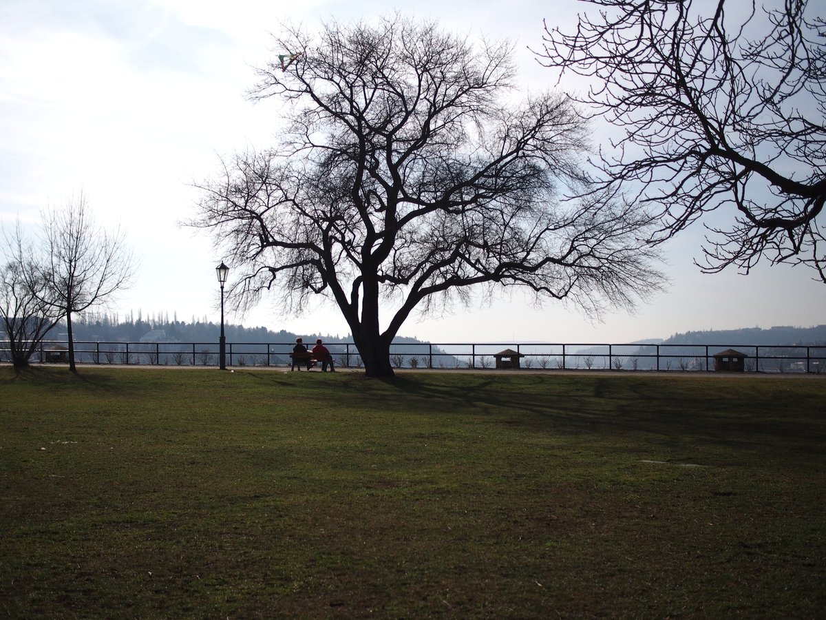 掴む｜Manami Kawakami