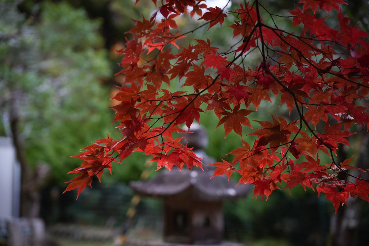 頑張りすぎる私たちへ 心が軽くなる“リセット術”｜miwa｜50代からのライフデザイン｜LIBRE labo．