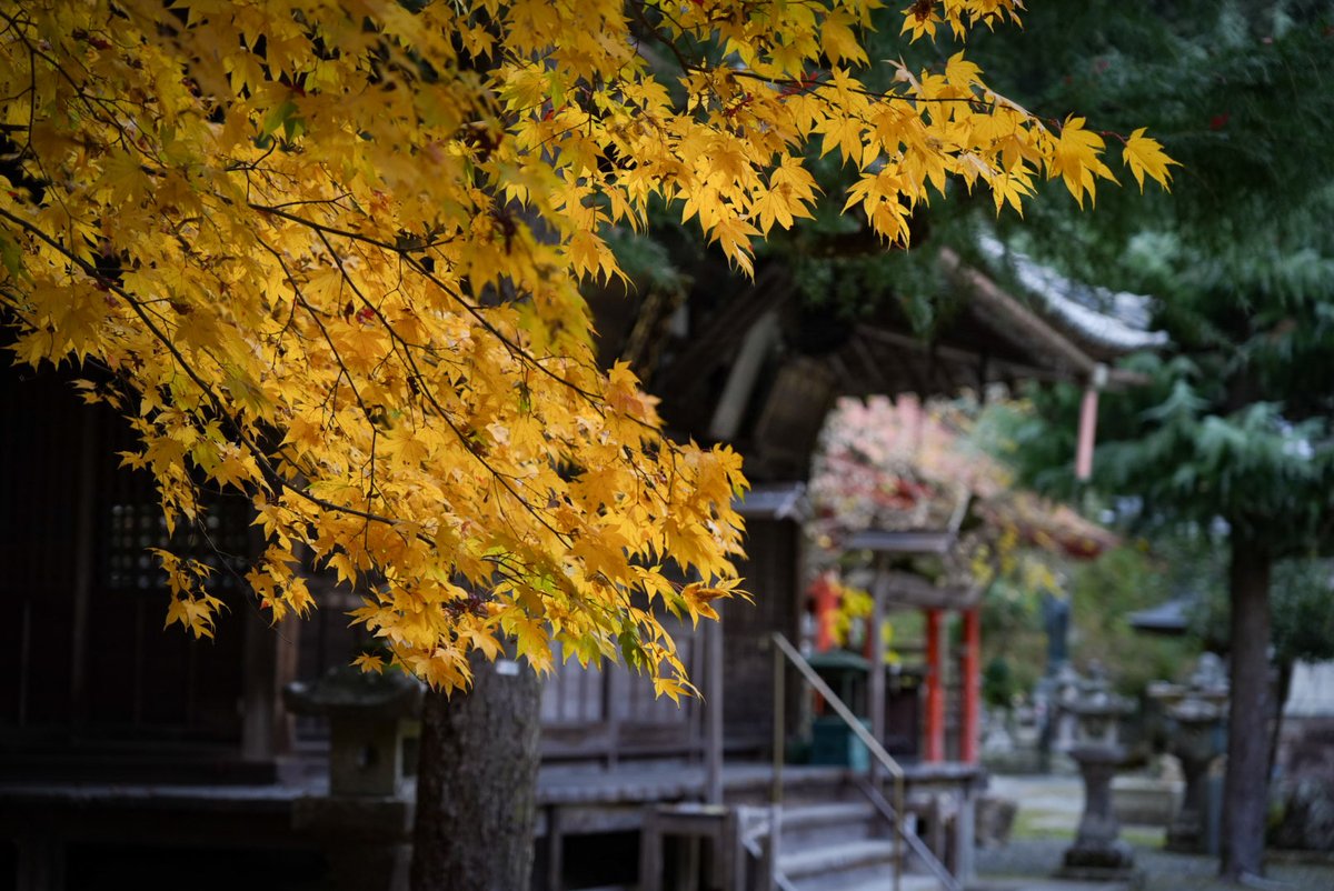 頑張りすぎる私たちへ 心が軽くなる“リセット術”｜miwa｜50代からのライフデザイン｜LIBRE labo．