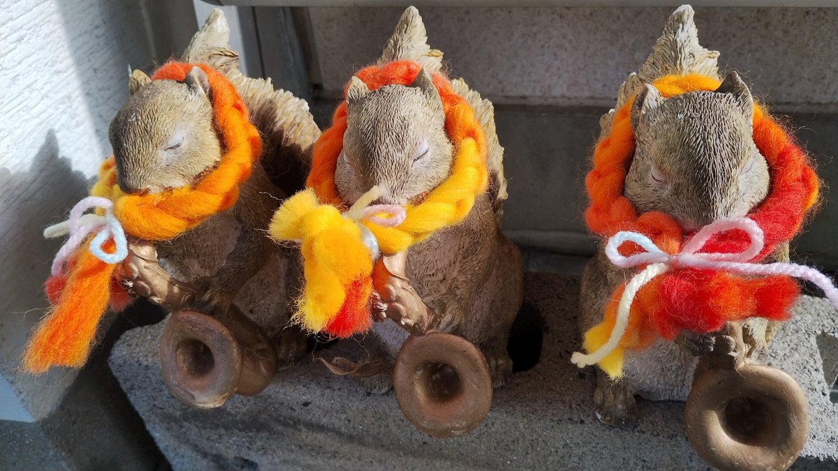 ポインセチアの季節｜mayu*days