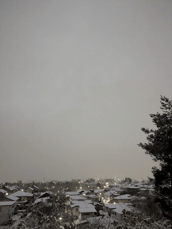 12月4日、宮城県仙台市で今年初の積雪——太平洋の見える丘が教えてくれた冬の変化とクマ出没データの謎【写真付】｜東北イタコ（Tohoku I-ST）
