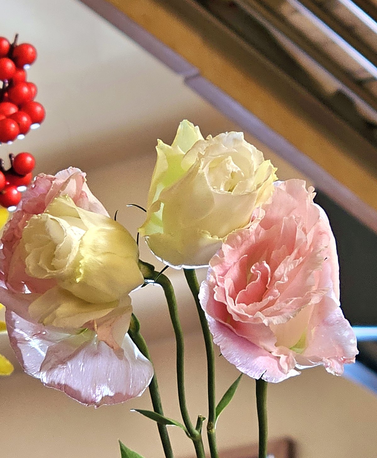 波立つ｜jolly_higher_flyer