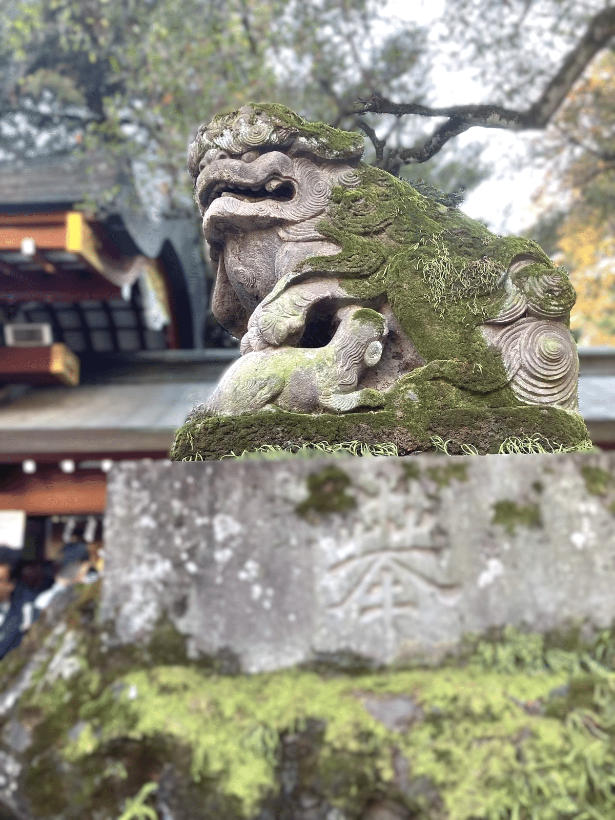 いいことあるぞ！ 開運招福・商売繁盛｜Eijyo