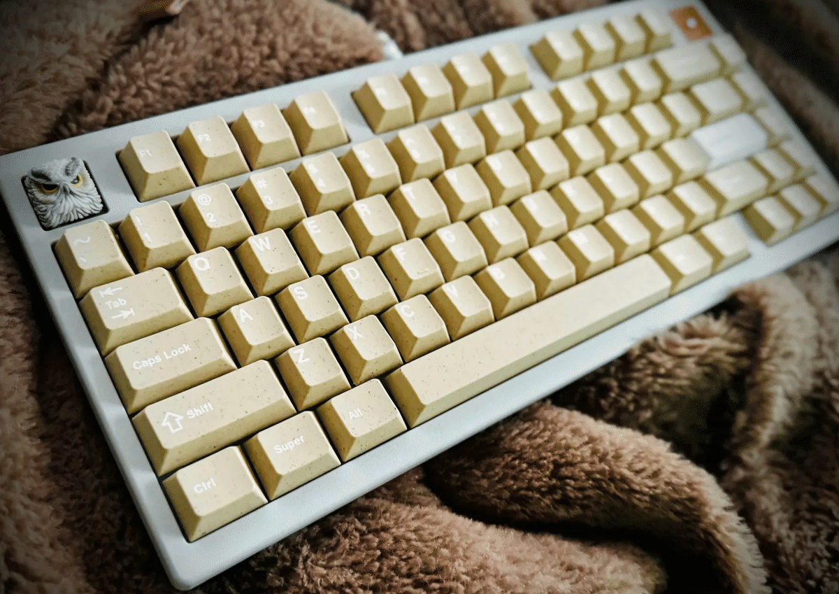 ANSIキーボード購入-前編-｜yu__chan11