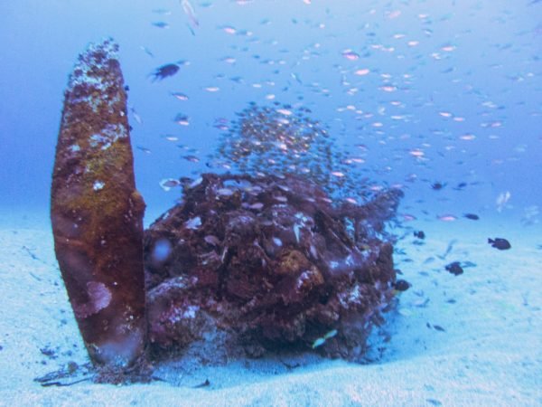 あぁロマンチック｜ippei shimamura