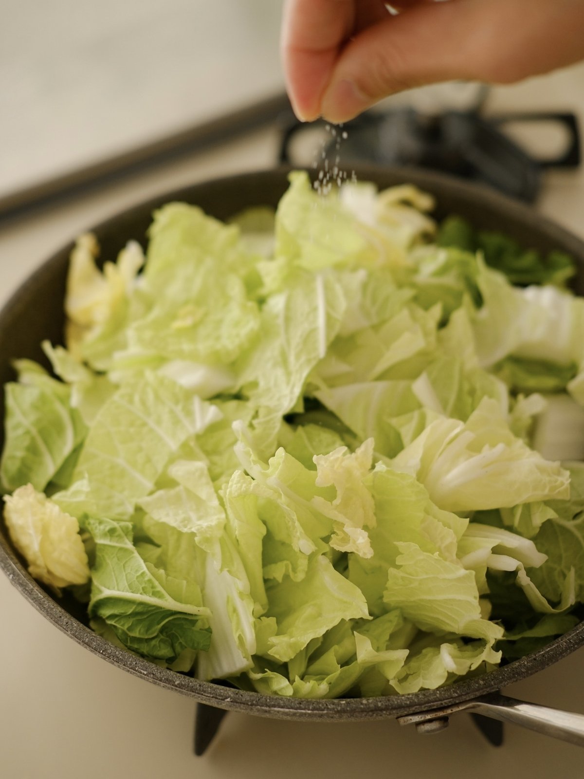 年末の台所がしんどい日に。覚えておきたい「整え蒸し」｜Yuu｜料理がしんどい日の、お守りレシピ。