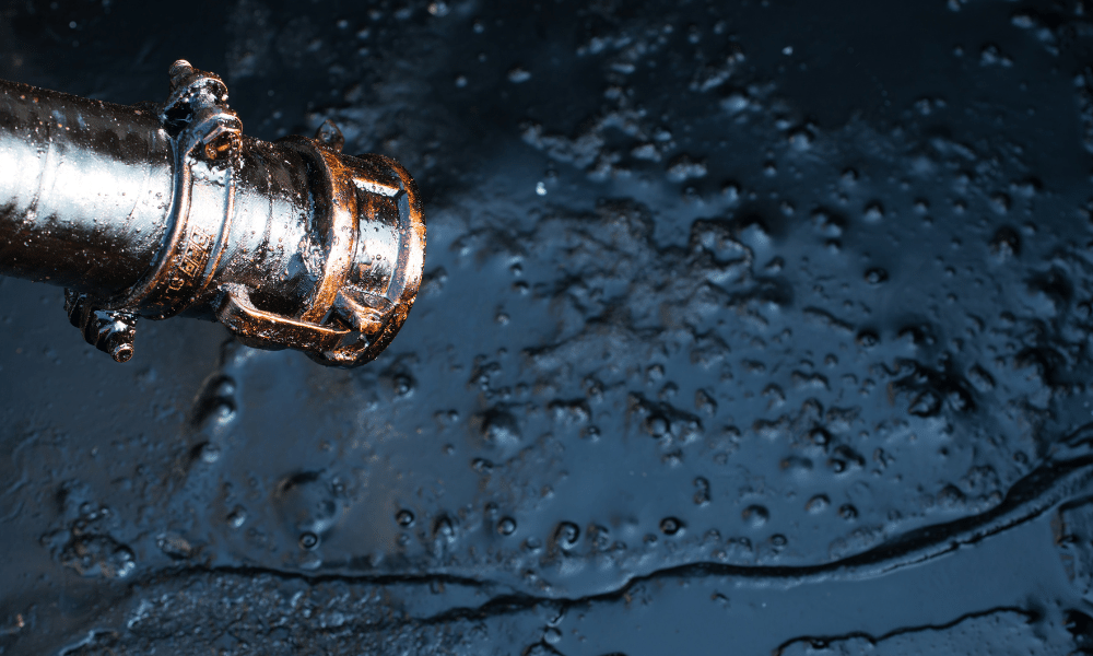 1859年のペンシルベニアと、私の肌の上で起きている「静かなる革命」について｜サステラ