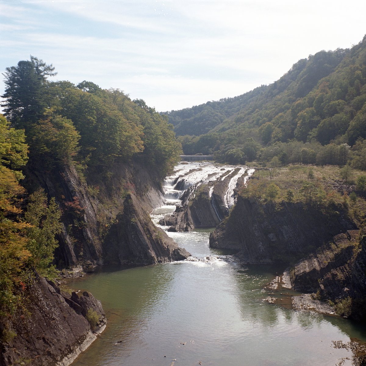 25年10月 スーパーバルダックス｜robert_oku