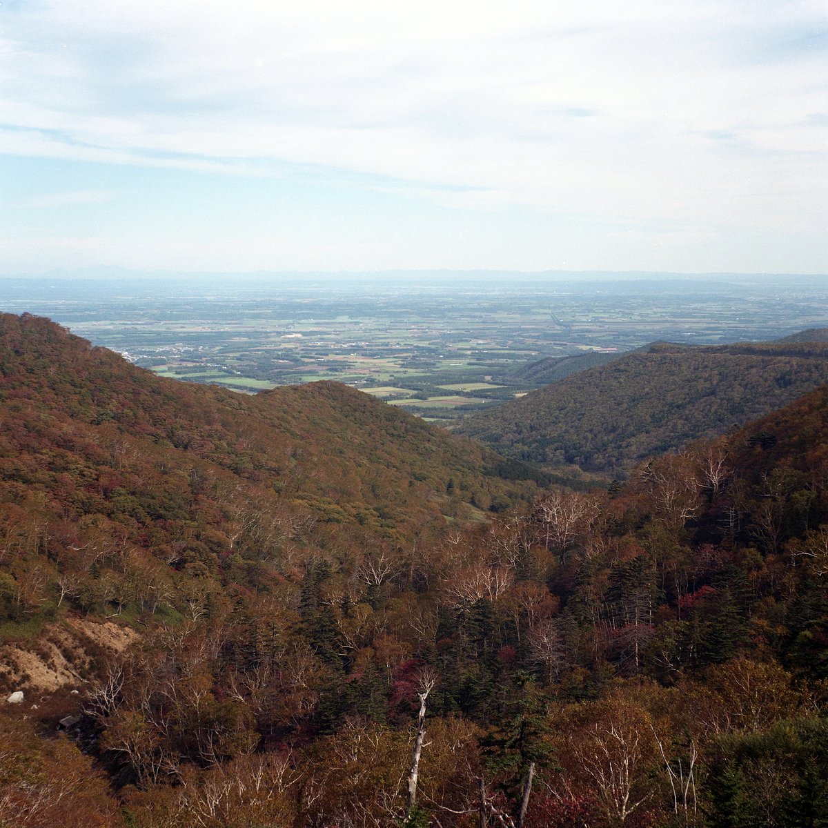 25年10月 スーパーバルダックス｜robert_oku