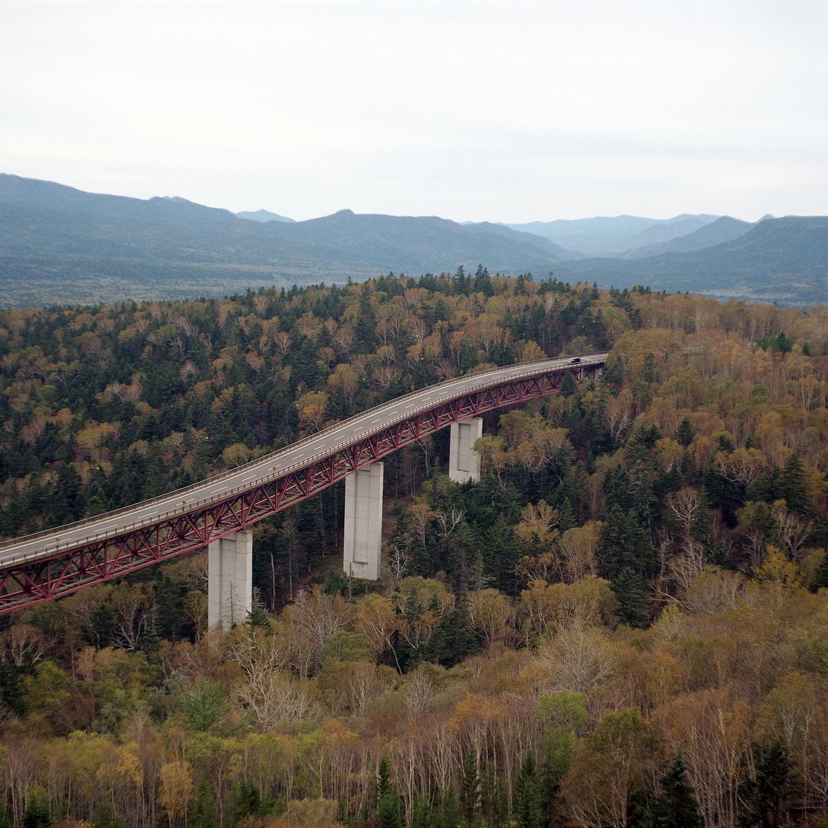 25年10月 スーパーバルダックス｜robert_oku