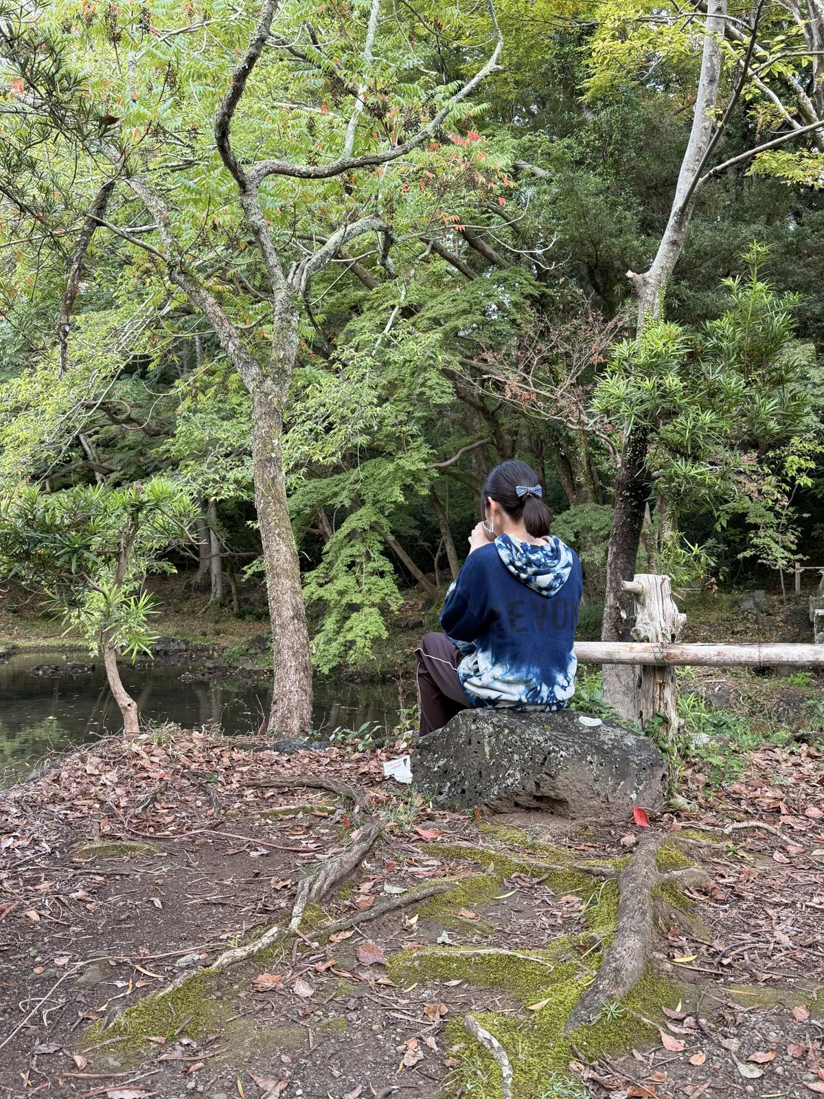Exploring Mishima's Water, Greenery, and Healing! "Retreat Lecture ...