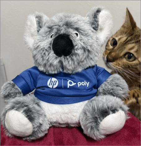 【BYOD】Poly Studio V12さわってみた。そしてZoomで使ってみた。｜潘 みのり