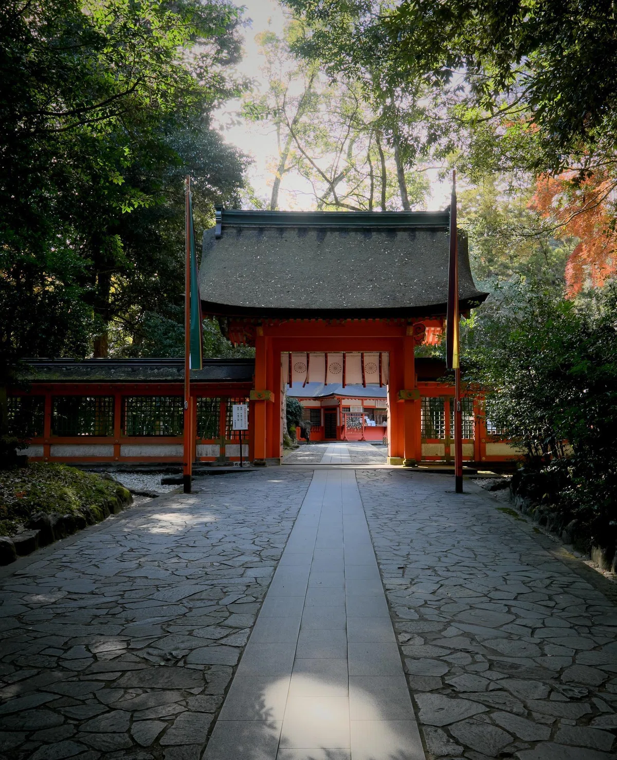 大分巡礼｜燿 (hikari)